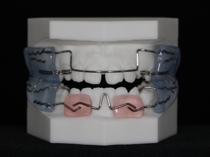 祥舒齿科官网 - 上海祥舒齿科技术有限公司